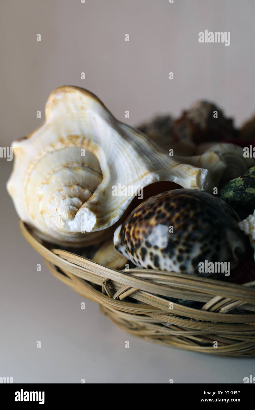 Clam basket hi-res stock photography and images - Alamy