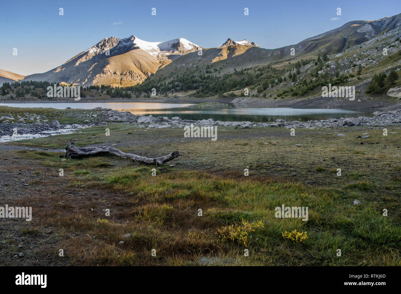 nature near Allos lake in french alps Stock Photo - Alamy
