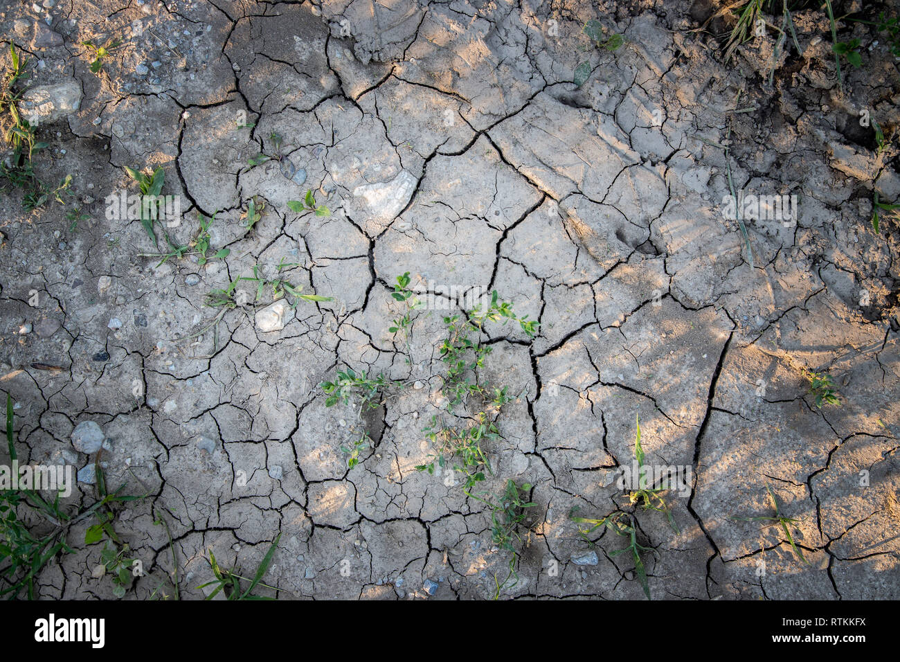 Dry soil on an agriculture field, drought Stock Photo - Alamy