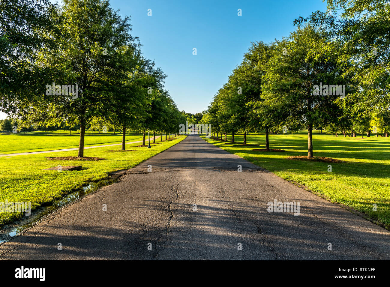 Raleigh park hi-res stock photography and images - Alamy