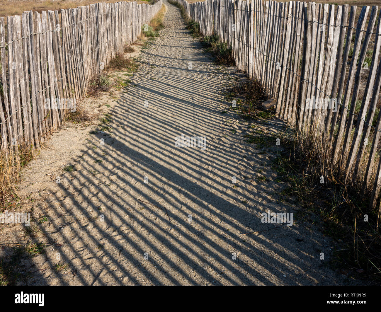 Sandy beach path with wooden railings. Pathway to beach and ocean sea ...