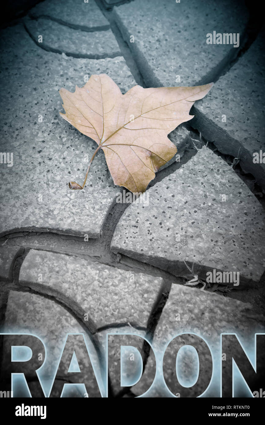 Dangerous radon concept image with isolated dry leaf on background ...