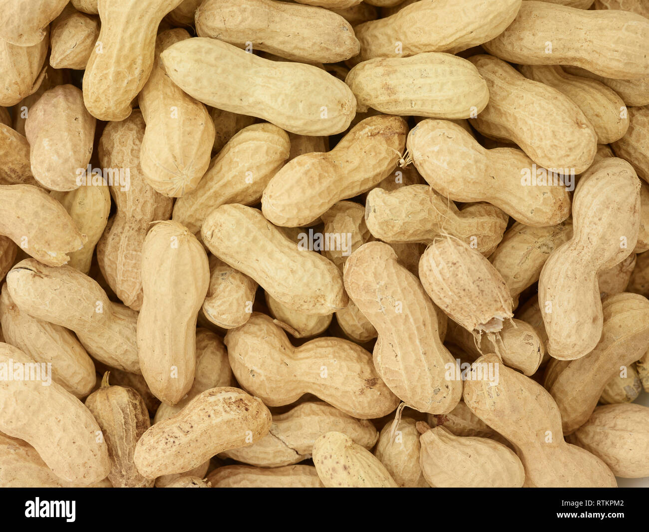 Peanut root nodules hi-res stock photography and images - Alamy