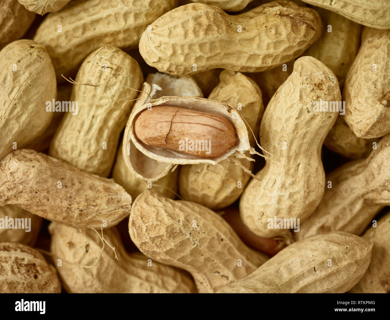 Peanuts food still-life photograph Stock Photo - Alamy