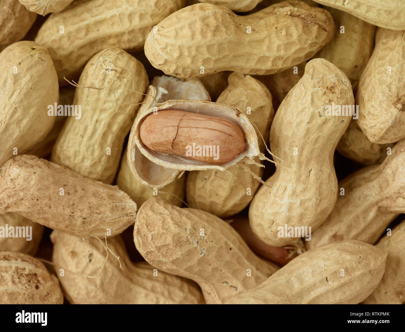 Peanuts food still-life photograph Stock Photo - Alamy