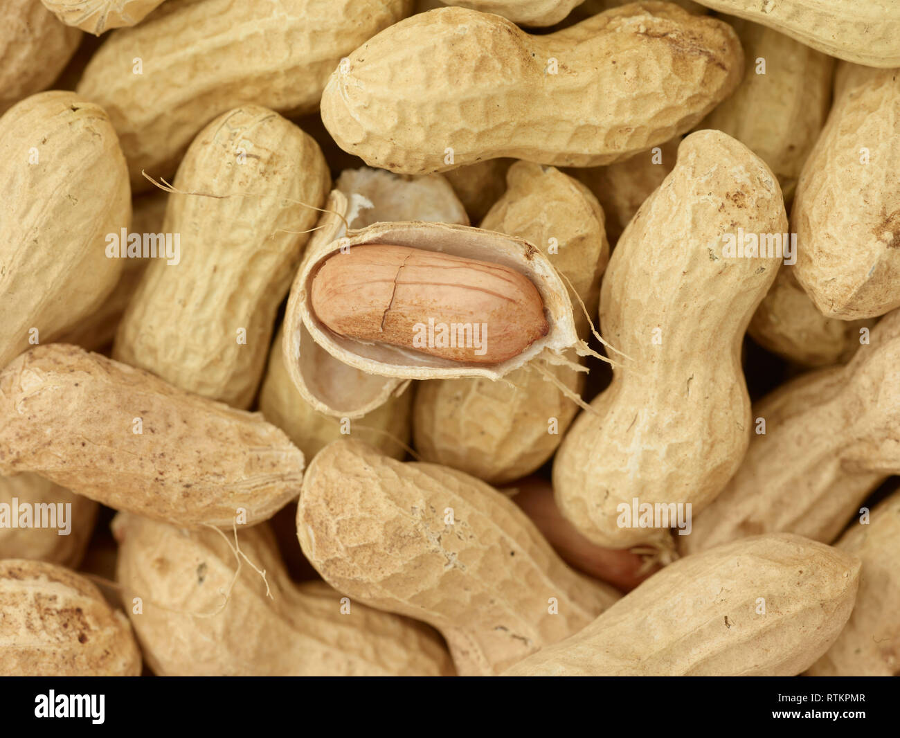 Peanuts food still-life photograph Stock Photo - Alamy