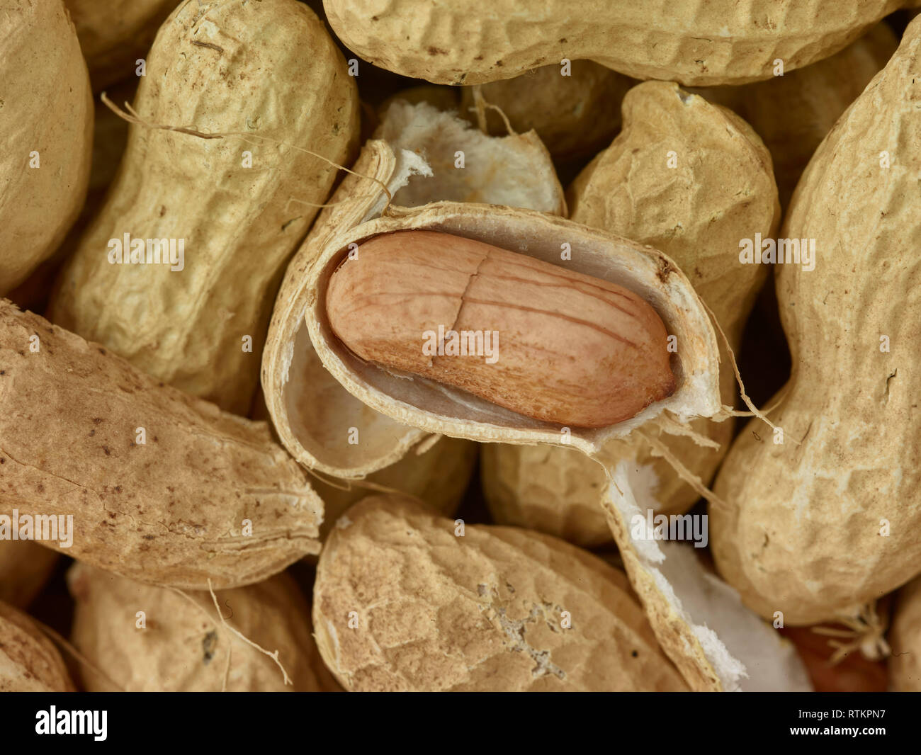 Peanuts food still-life photograph Stock Photo - Alamy