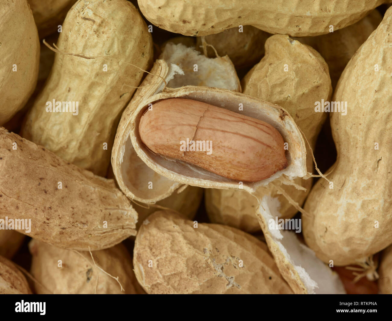 Peanuts food still-life photograph Stock Photo - Alamy