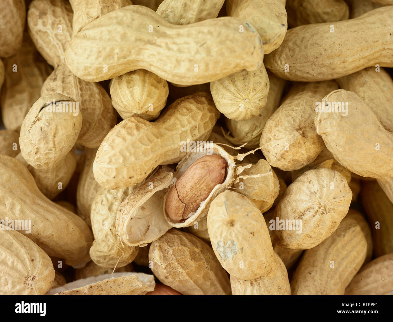 Peanuts food still-life photograph Stock Photo - Alamy