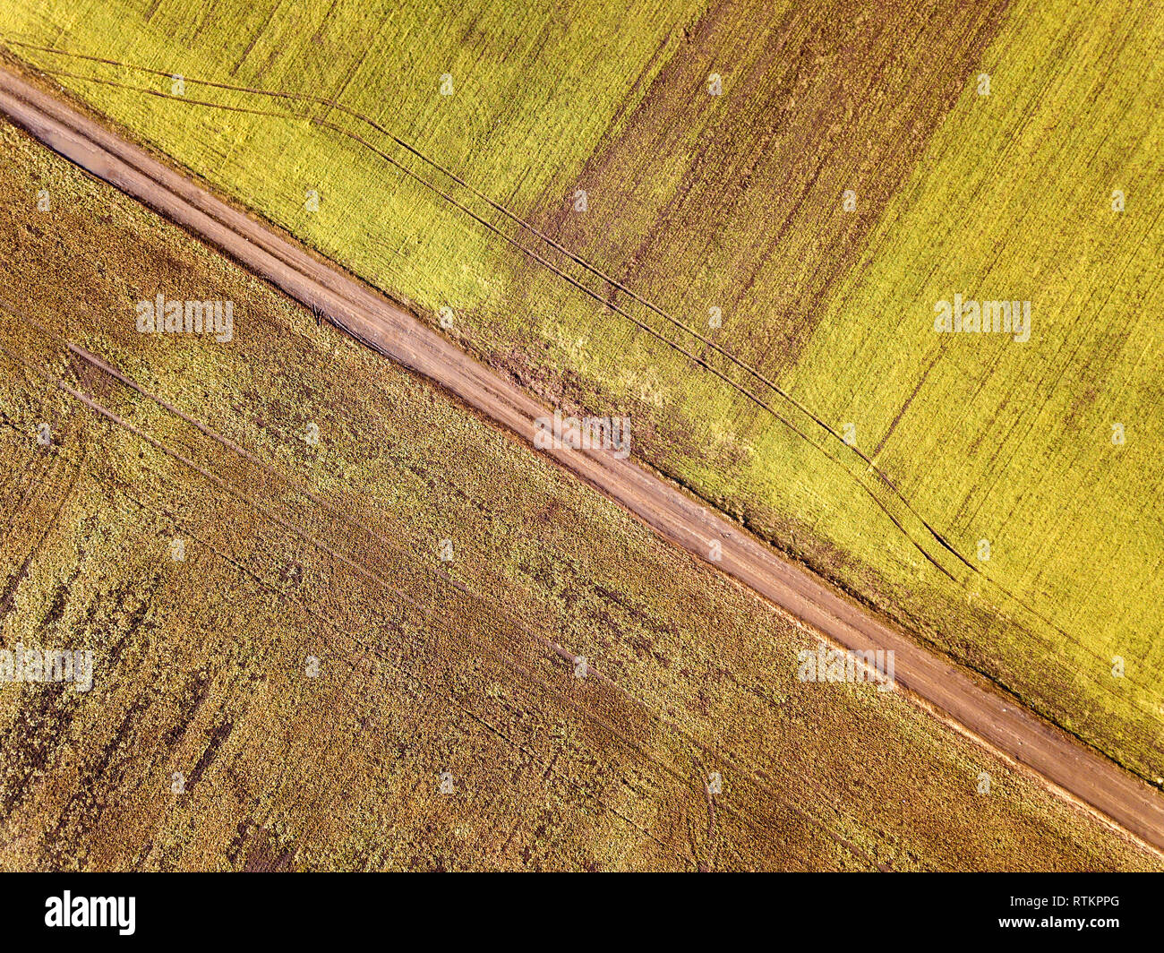 Agricultural landscape from air. Straight narrow ground road between ...