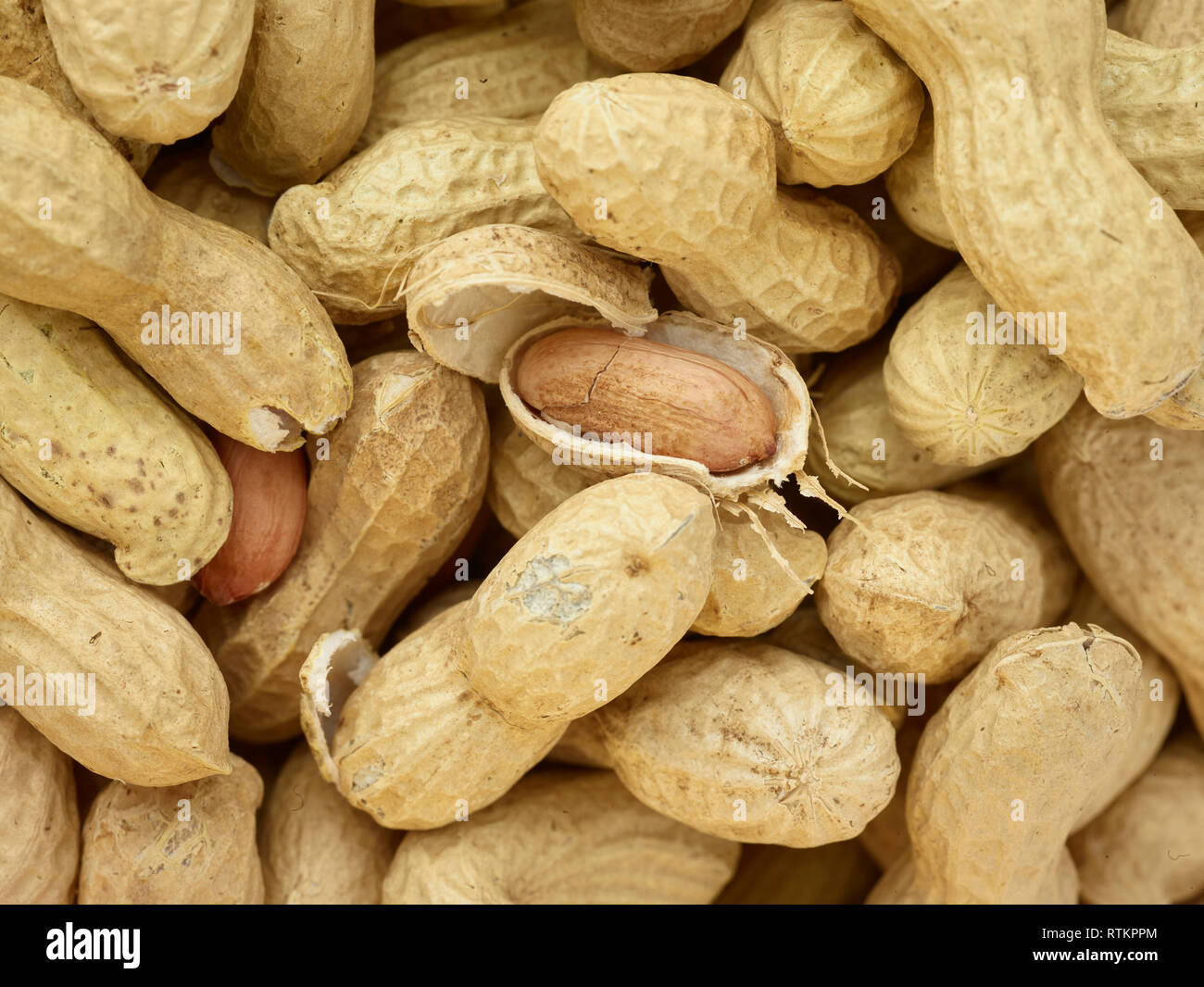 Peanuts food still-life photograph Stock Photo - Alamy