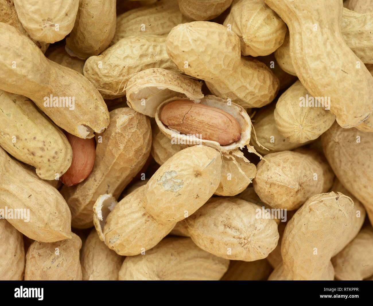 Peanuts food still-life photograph Stock Photo - Alamy