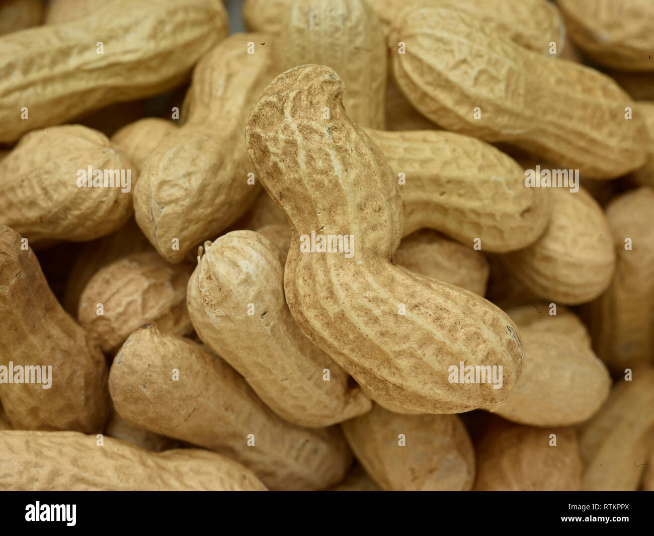 Peanuts food still-life photograph Stock Photo - Alamy