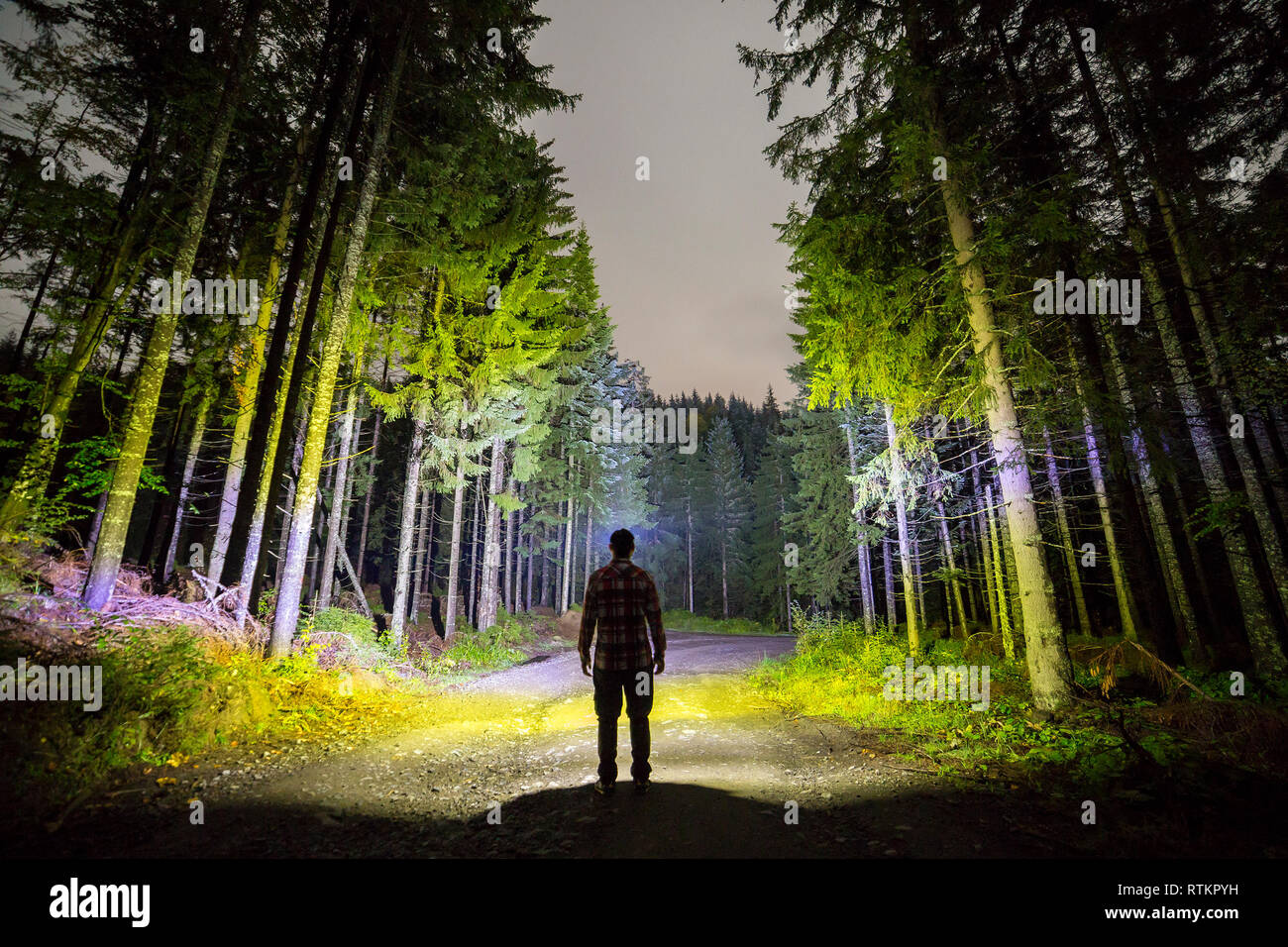 Back view of man with head flashlight standing on forest ground road ...