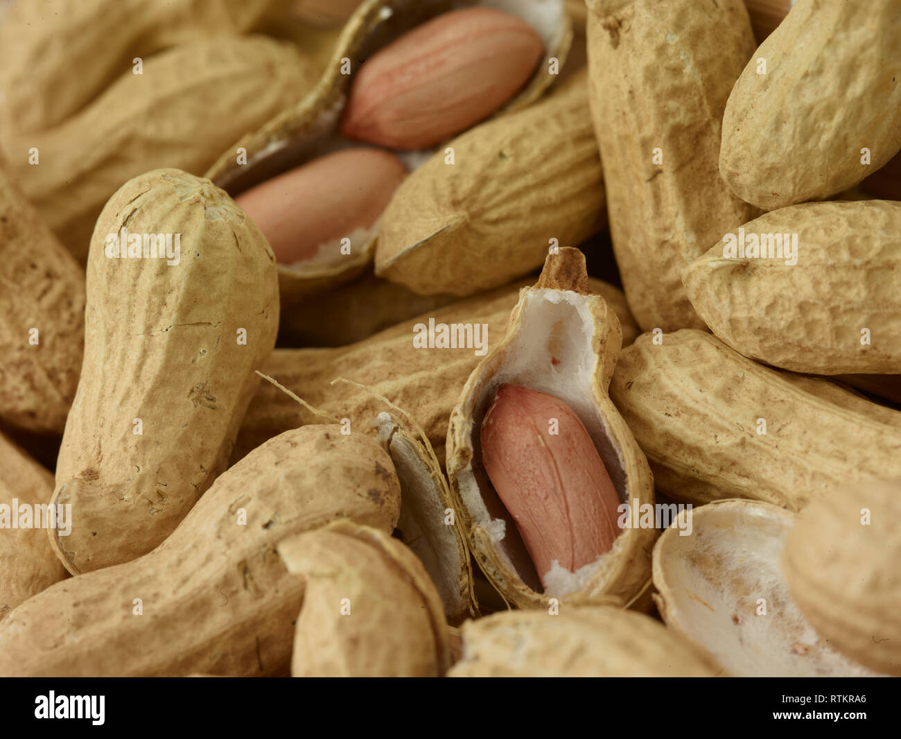 Peanut root nodules hi-res stock photography and images - Alamy