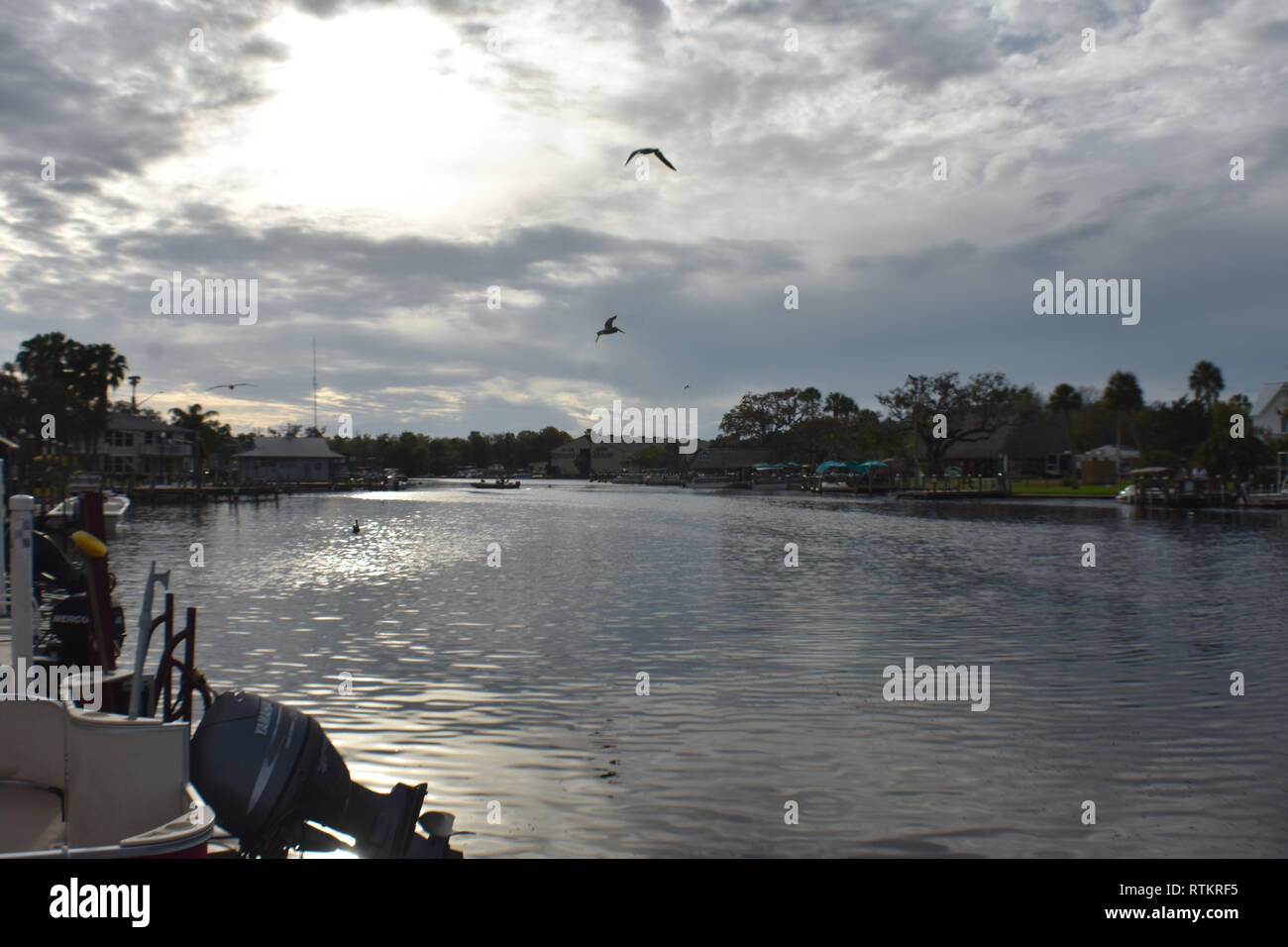 Old homosassa hi-res stock photography and images - Alamy