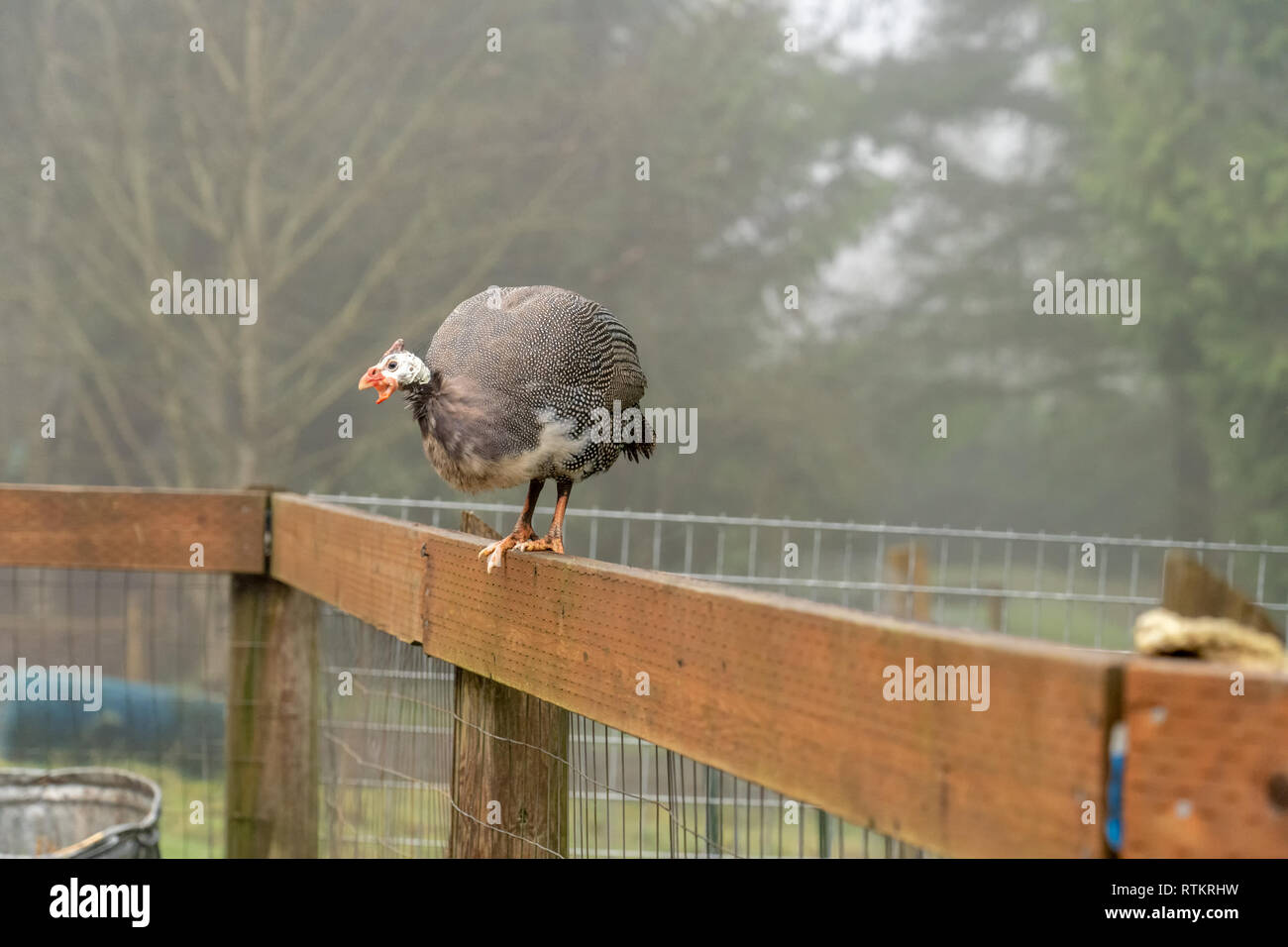 Wattle fence hi-res stock photography and images - Alamy
