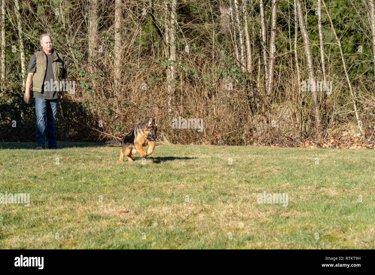 Issaquah, Washington, USA. Man playing fetch with his four month old ...