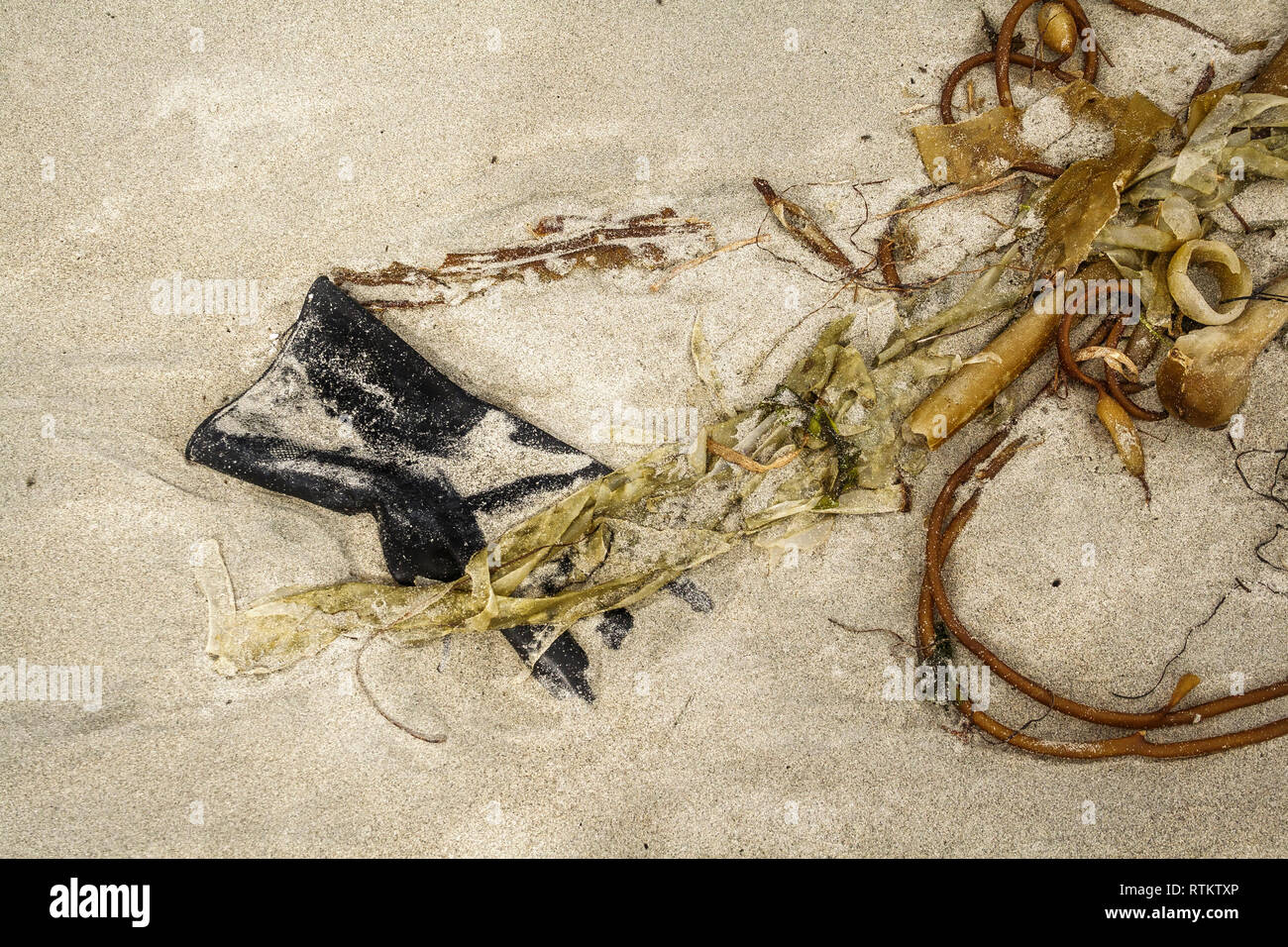Marine pollution canada hi-res stock photography and images - Alamy