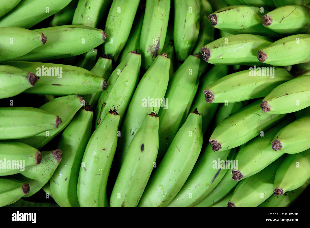 Bananas In Colombia Stock Photos & Bananas In Colombia Stock Images - Alamy