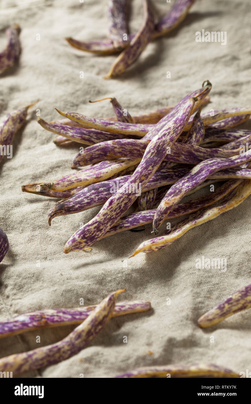 Organic Purple Dragon Tongue Beans Ready to Cook Stock Photo - Alamy