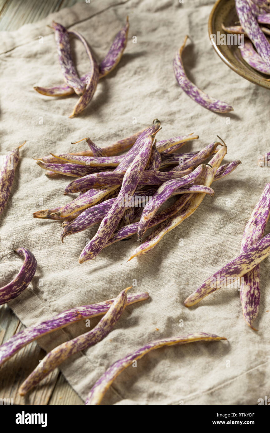 Organic Purple Dragon Tongue Beans Ready to Cook Stock Photo - Alamy