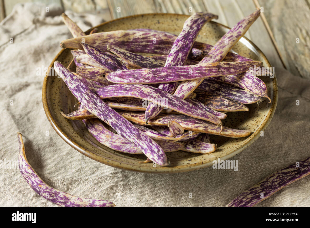 Organic Purple Dragon Tongue Beans Ready to Cook Stock Photo - Alamy