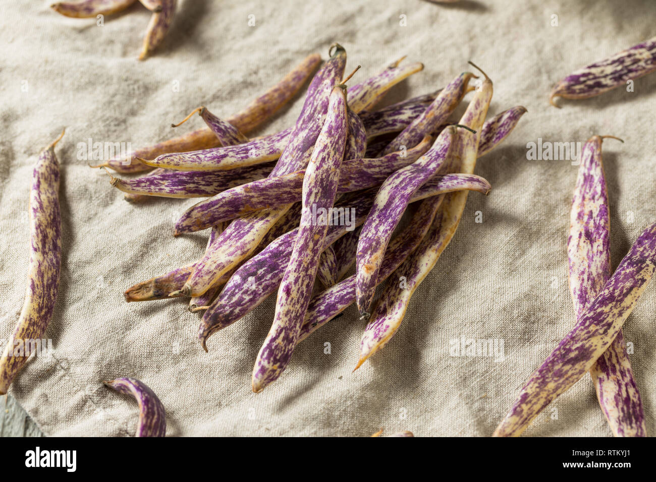 Organic Purple Dragon Tongue Beans Ready to Cook Stock Photo - Alamy