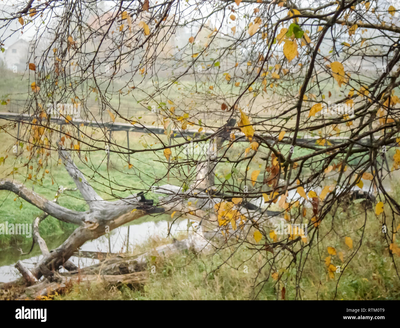 Exclusion zone is a prototype of the game stalker shadow Chernobyl ...