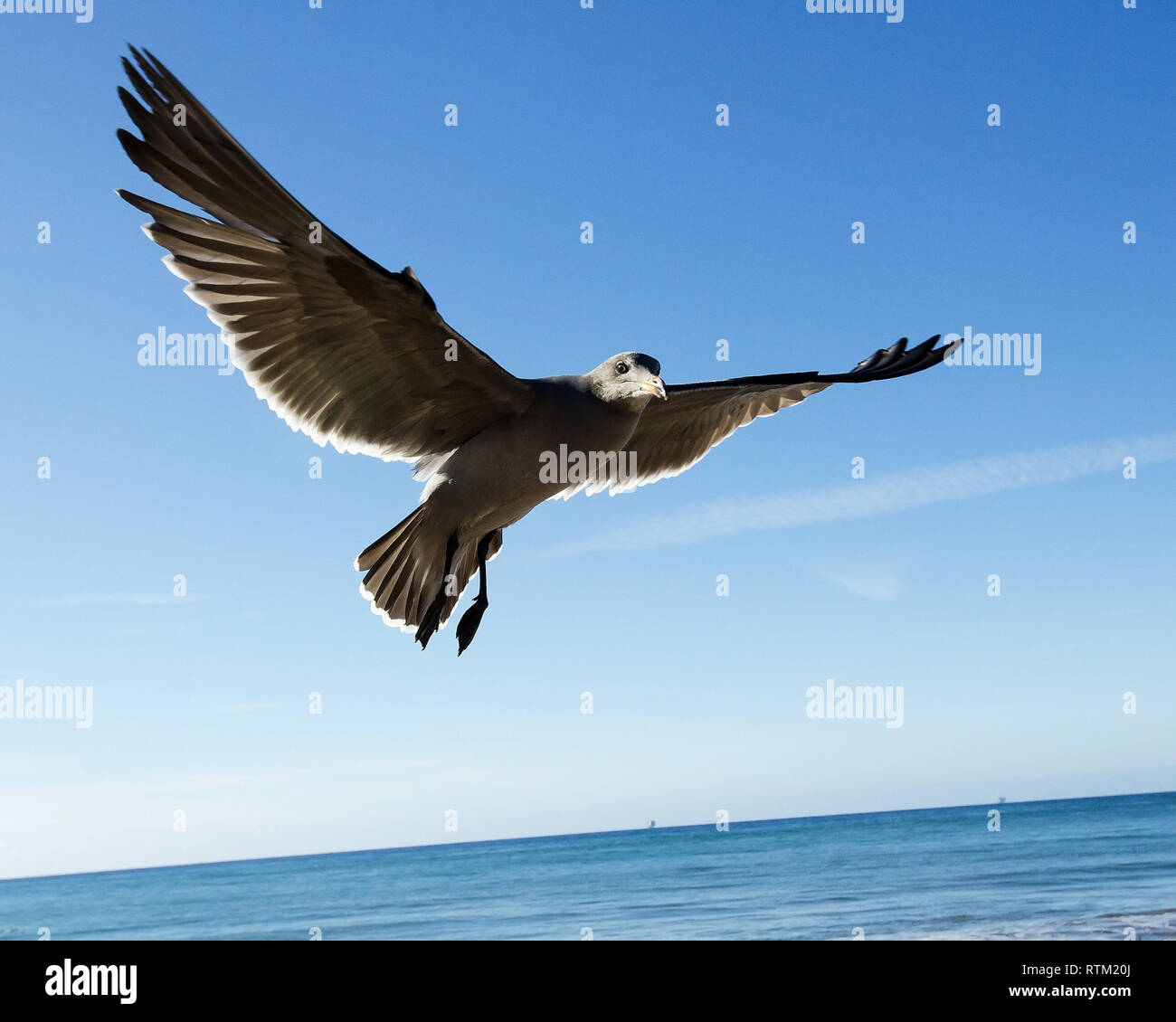 Refugio sb hi-res stock photography and images - Alamy