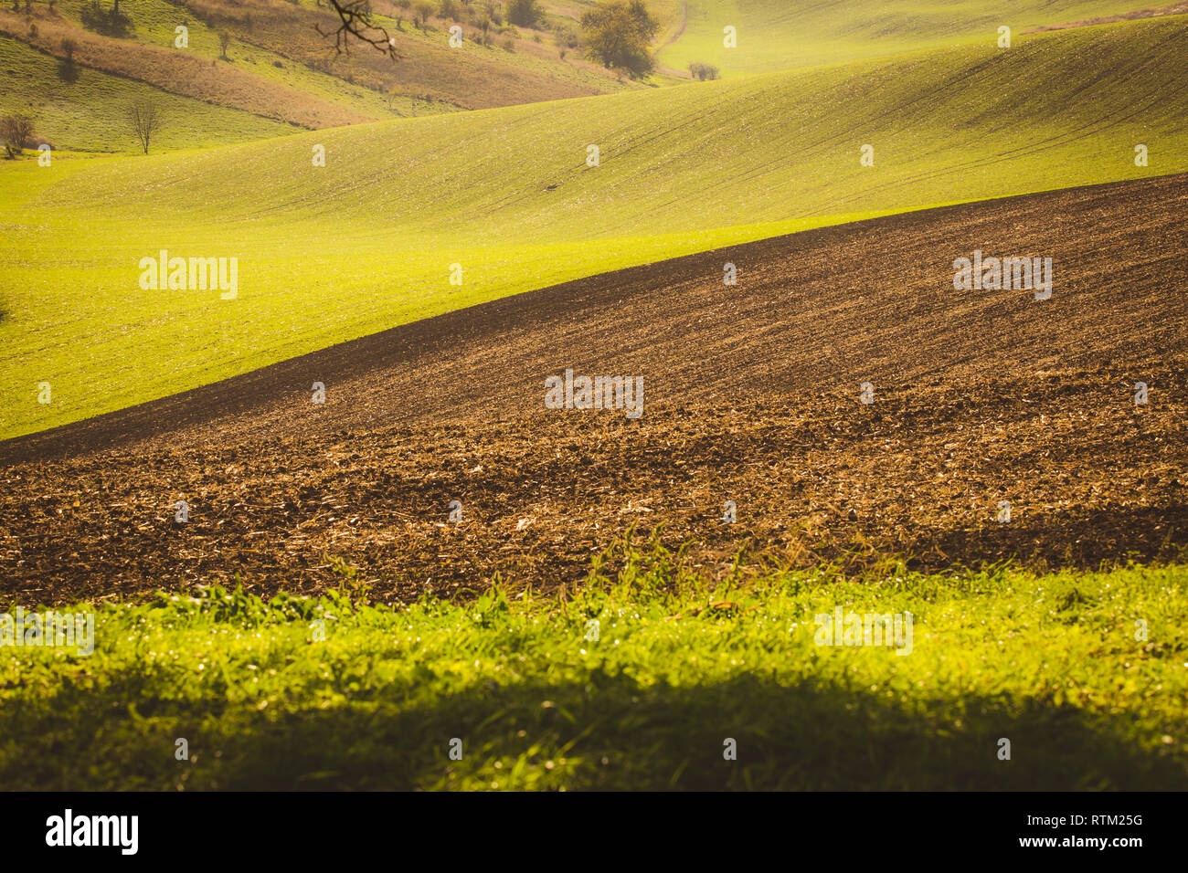 Moravian Tuscany landscape. Harvested Fields and meadows in South ...