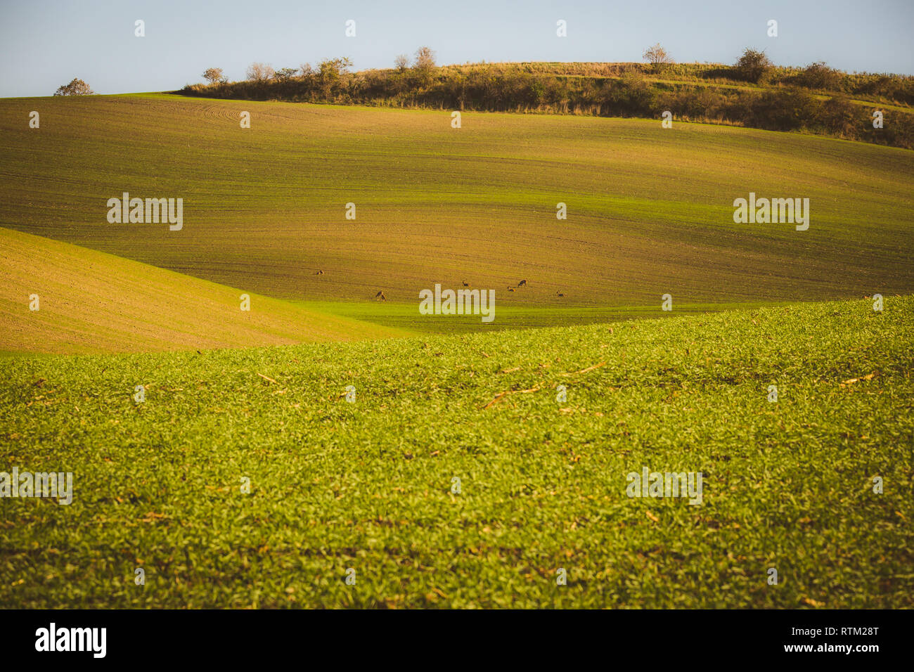 Czech colors hi-res stock photography and images - Alamy