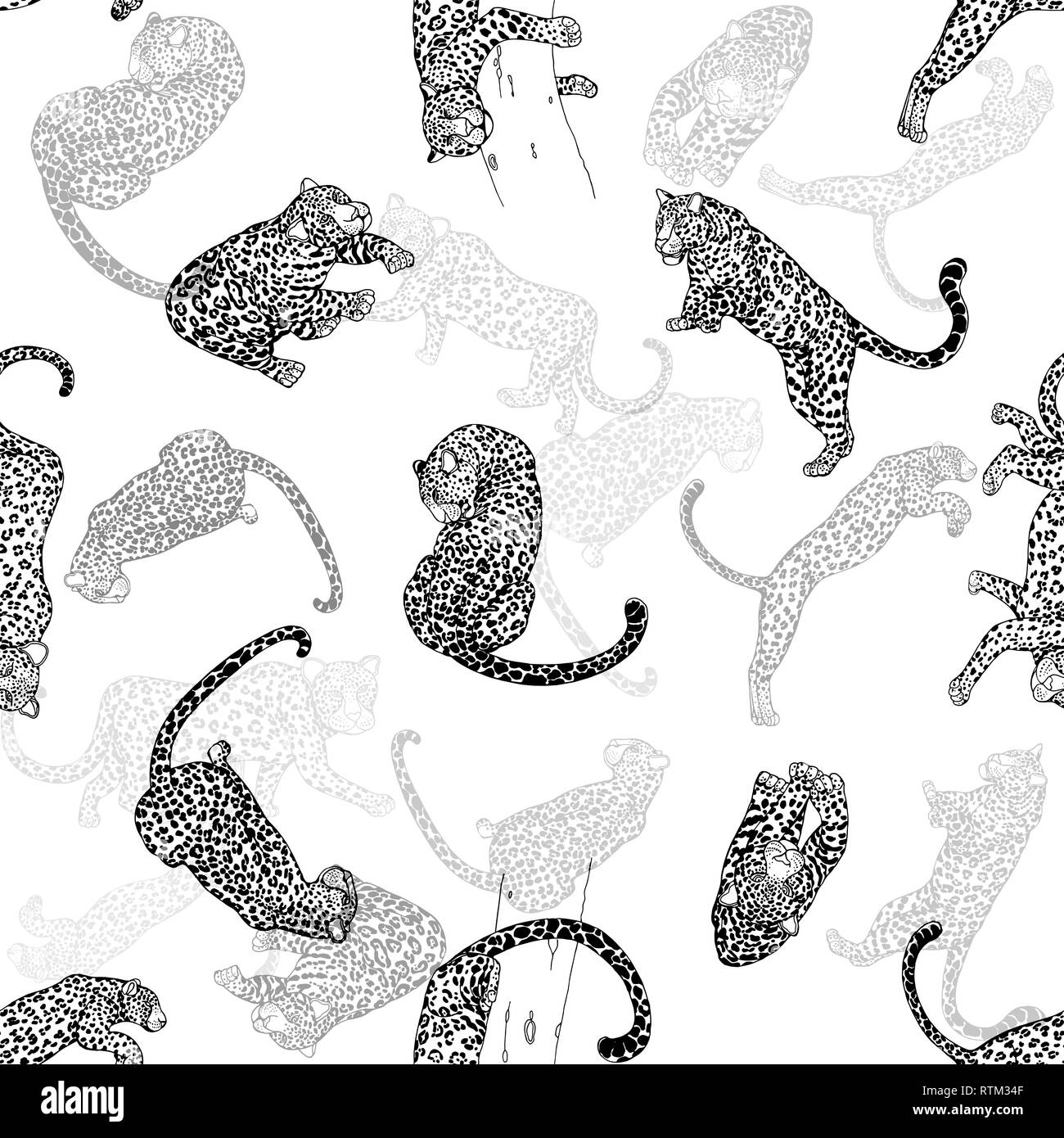 Seamless pattern of hand drawn sketch style leopards isolated on white ...