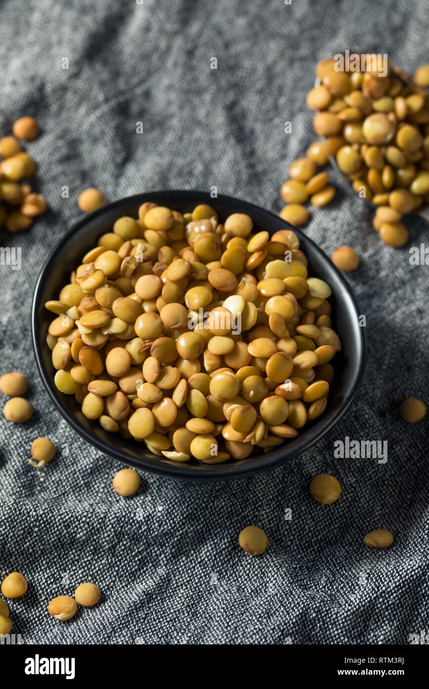 Raw Organic Fresh Lentils in a Bowl Stock Photo - Alamy