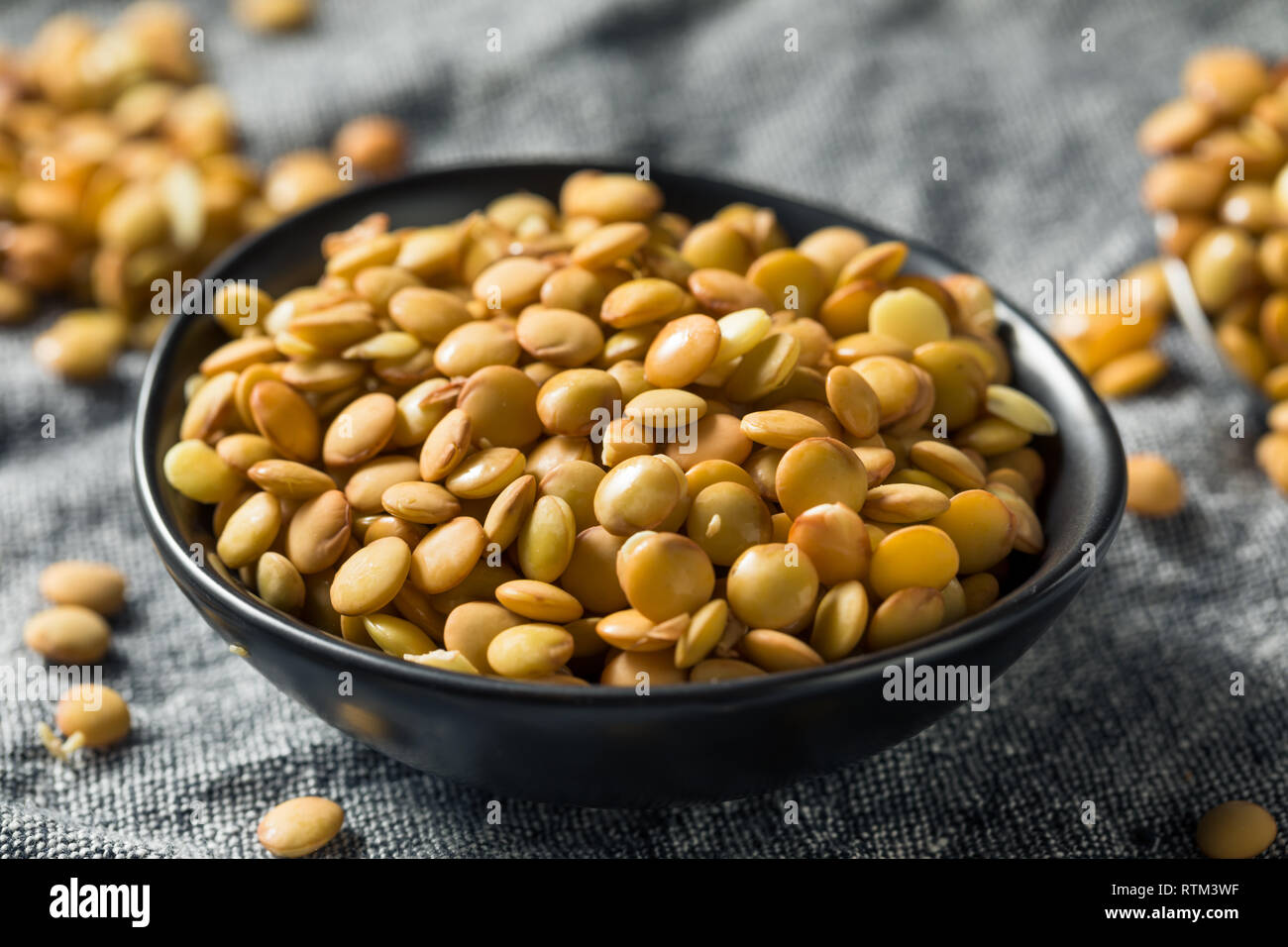 Raw Organic Fresh Lentils in a Bowl Stock Photo - Alamy