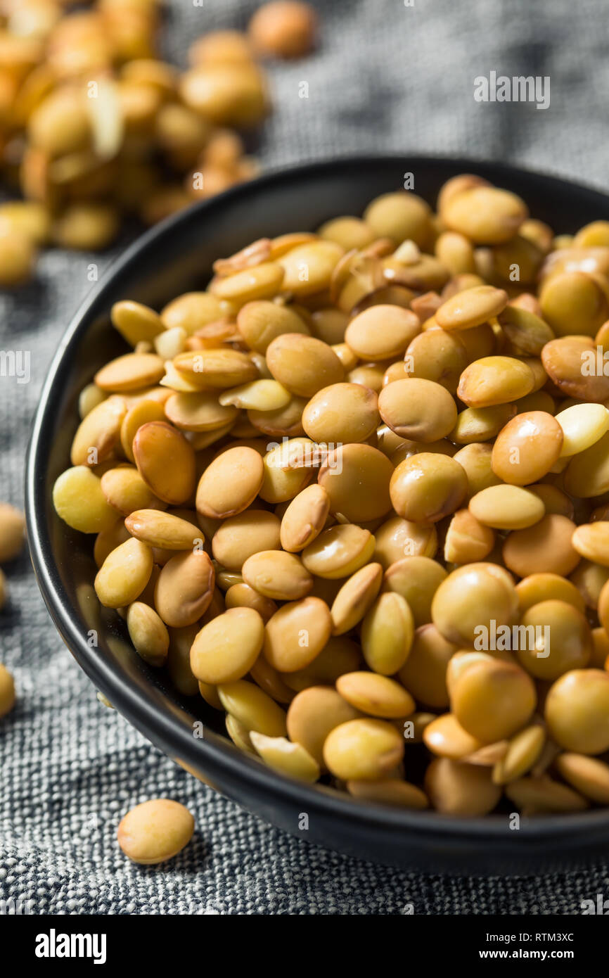 Lentils fresh lentils hi-res stock photography and images - Alamy
