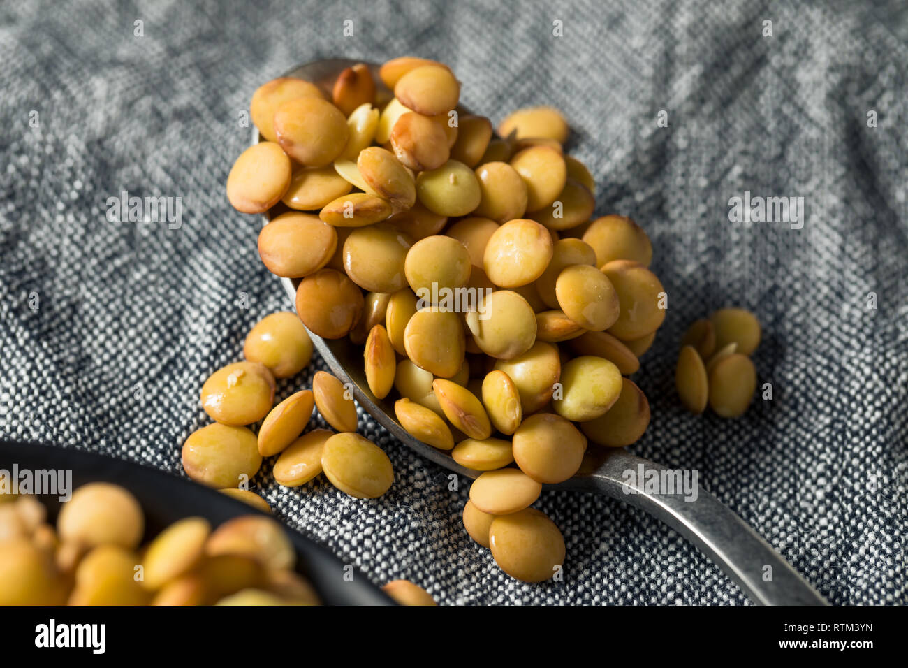 Lentils fresh lentils hi-res stock photography and images - Alamy