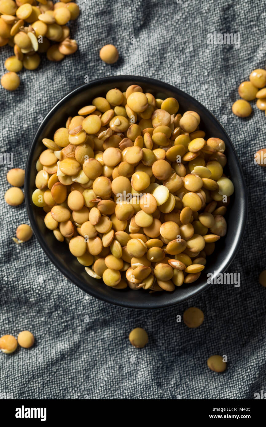 Lentils fresh lentils hi-res stock photography and images - Alamy