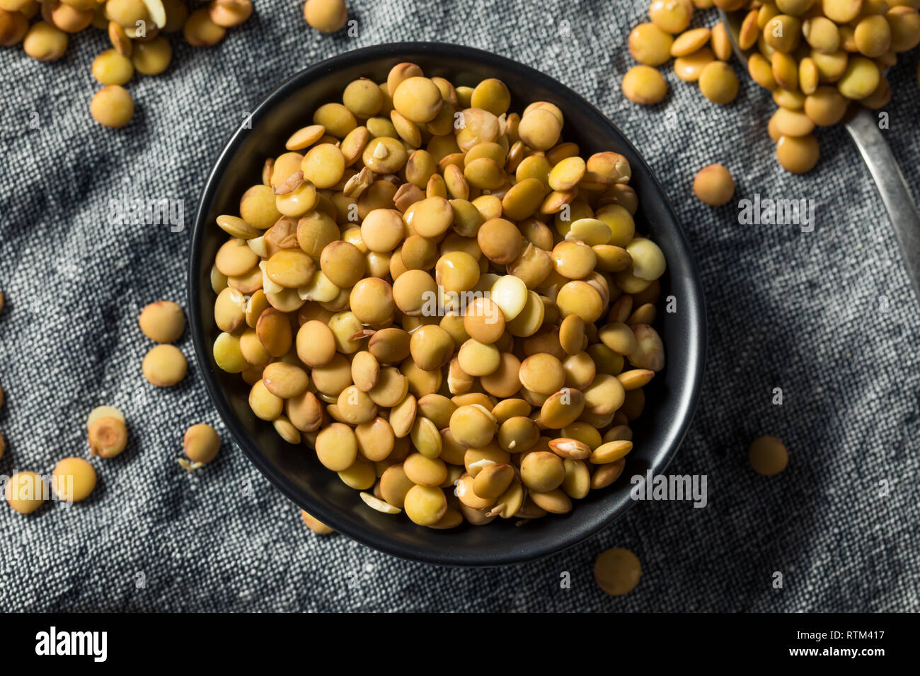 Raw Organic Fresh Lentils in a Bowl Stock Photo - Alamy