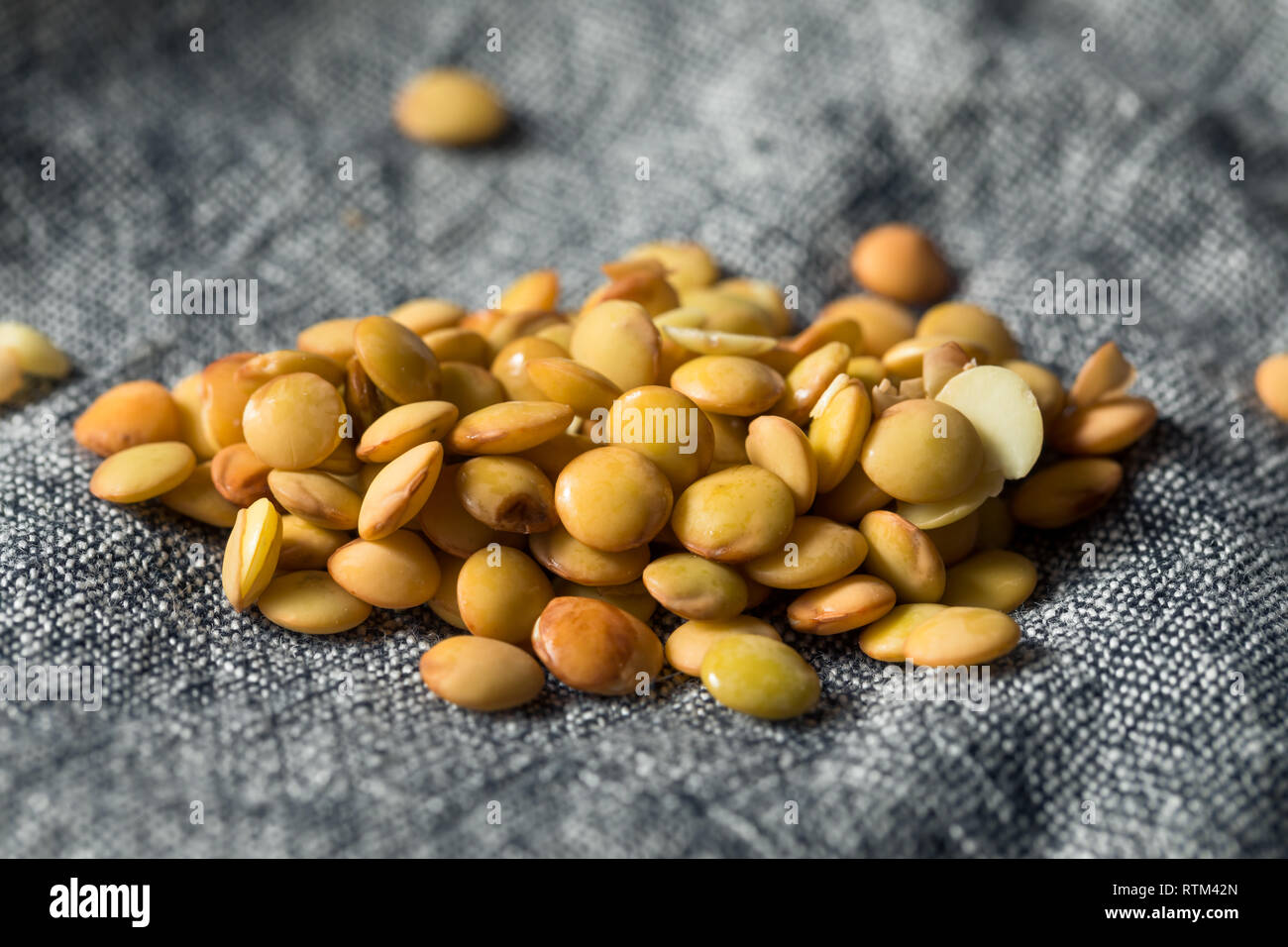 Raw Organic Fresh Lentils in a Bowl Stock Photo - Alamy
