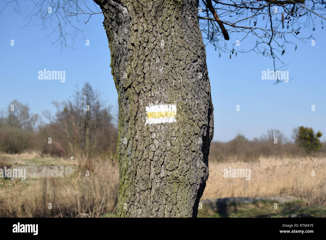 Hiking trail mark on tree Stock Photo - Alamy