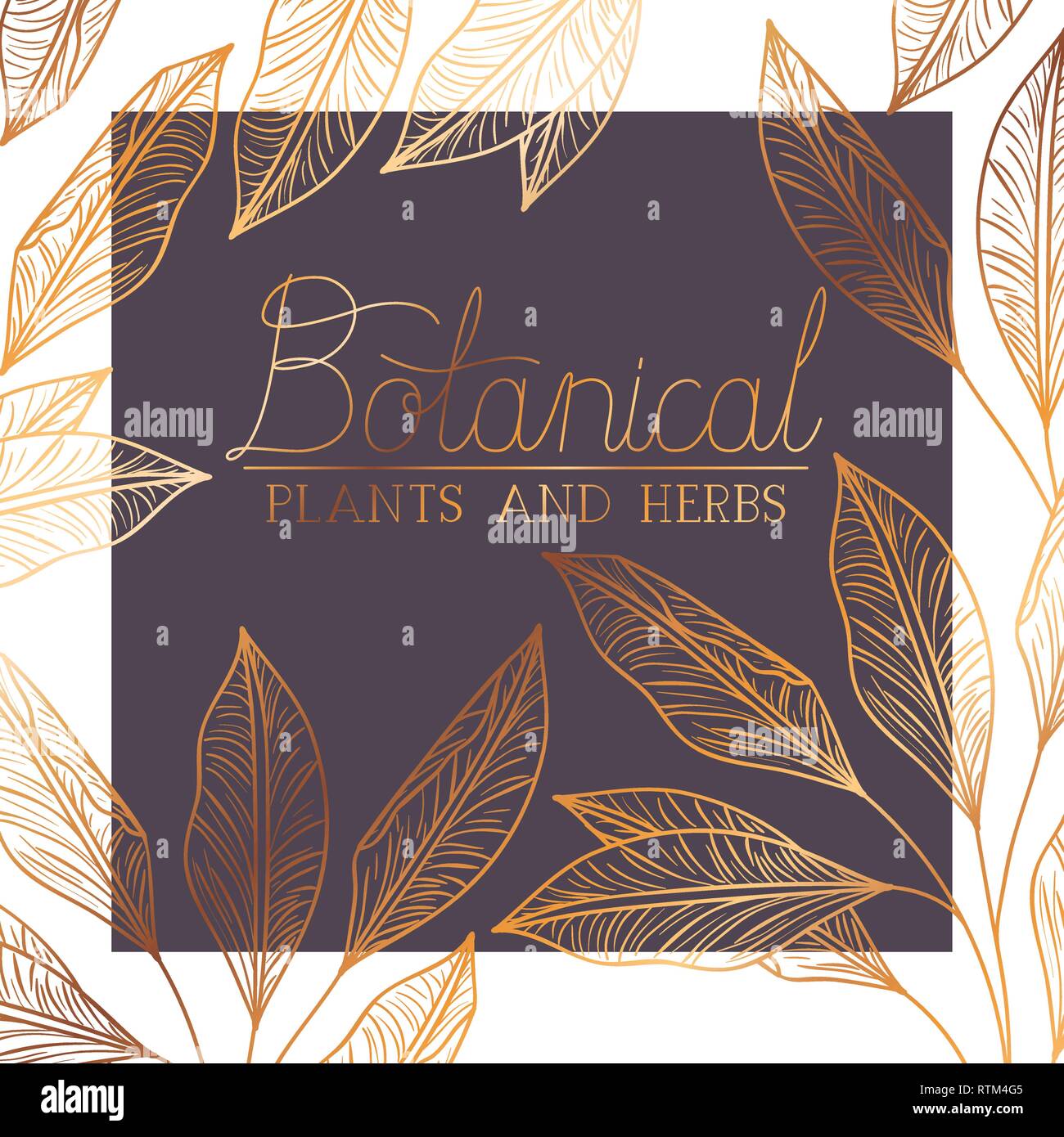 botanical label with plants and herbs Stock Vector Image & Art - Alamy