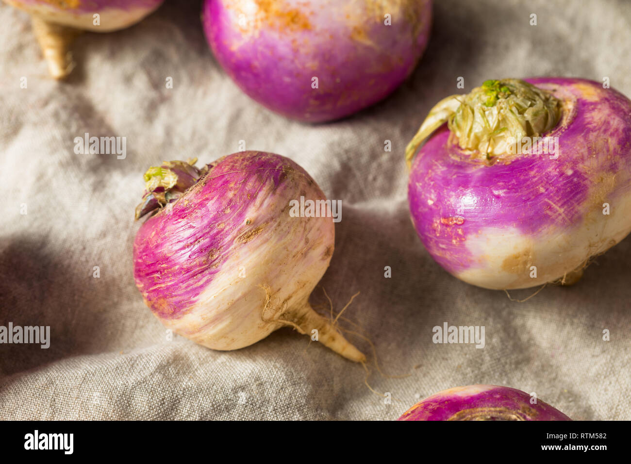Turnip plant hi-res stock photography and images - Alamy