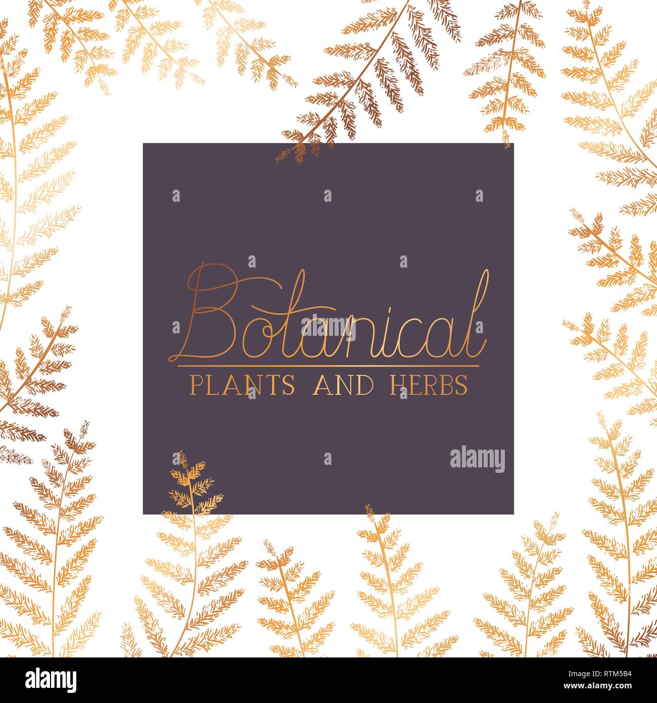 botanical label with plants and herbs Stock Vector Image & Art - Alamy