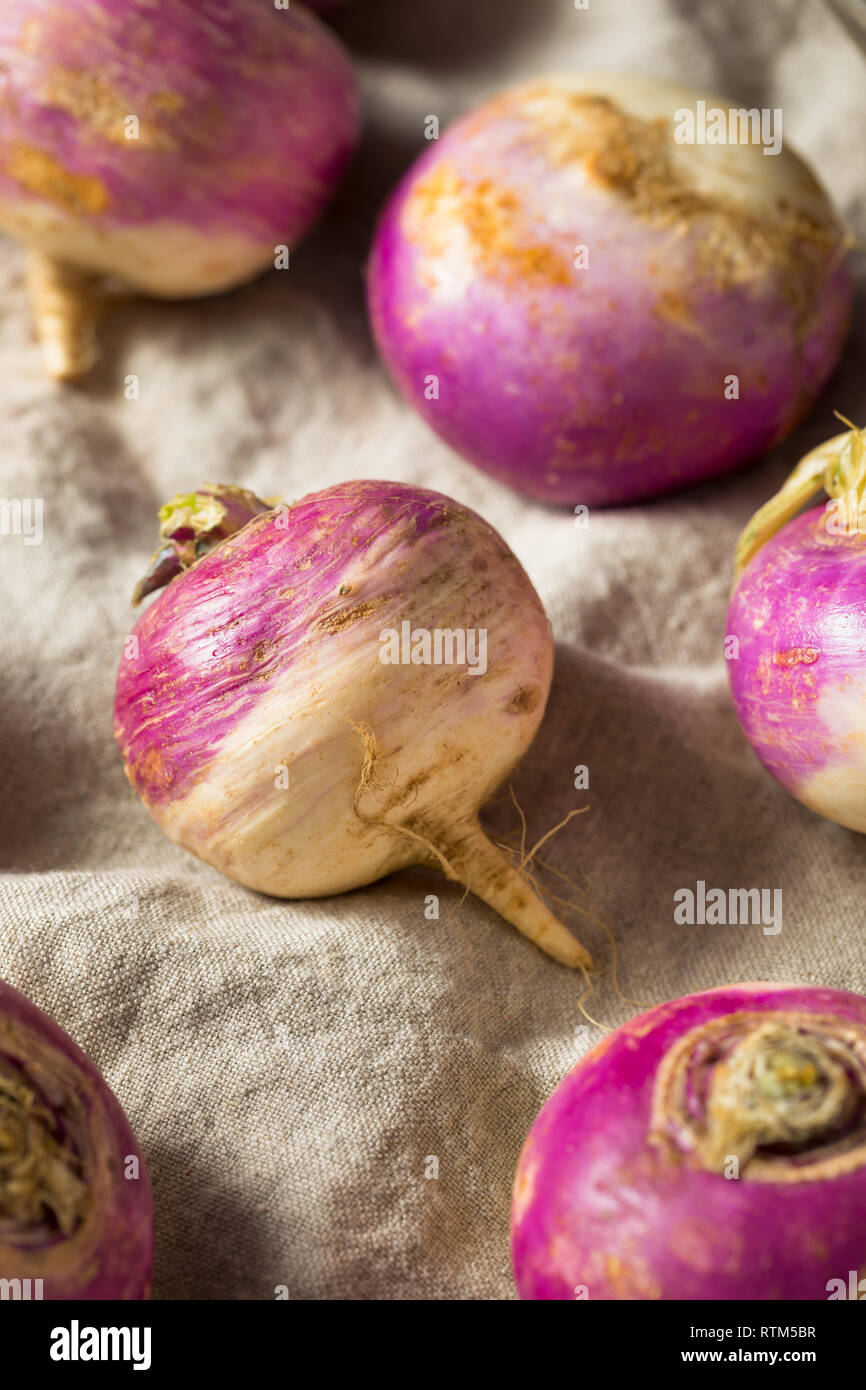 Salad turnips hi-res stock photography and images - Alamy