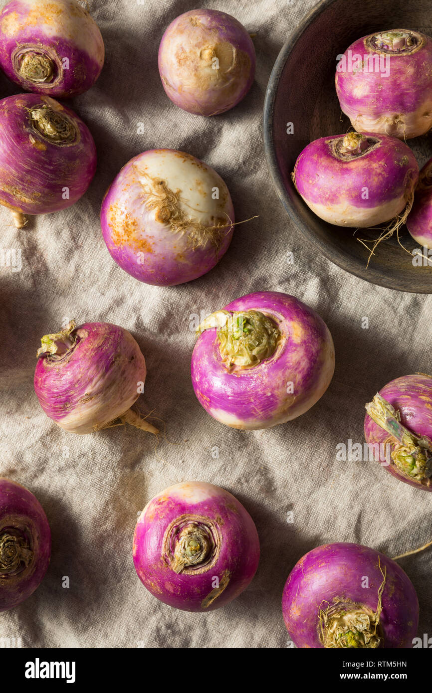 Salad turnips hi-res stock photography and images - Alamy