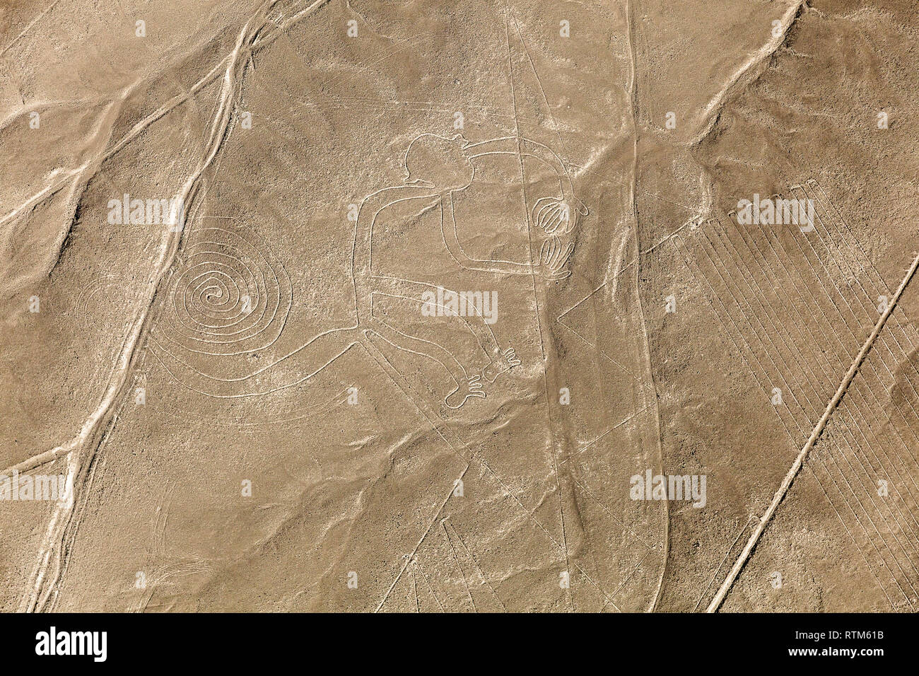 Aerial view of the Nazca Lines, the monkey, Peru Stock Photo - Alamy