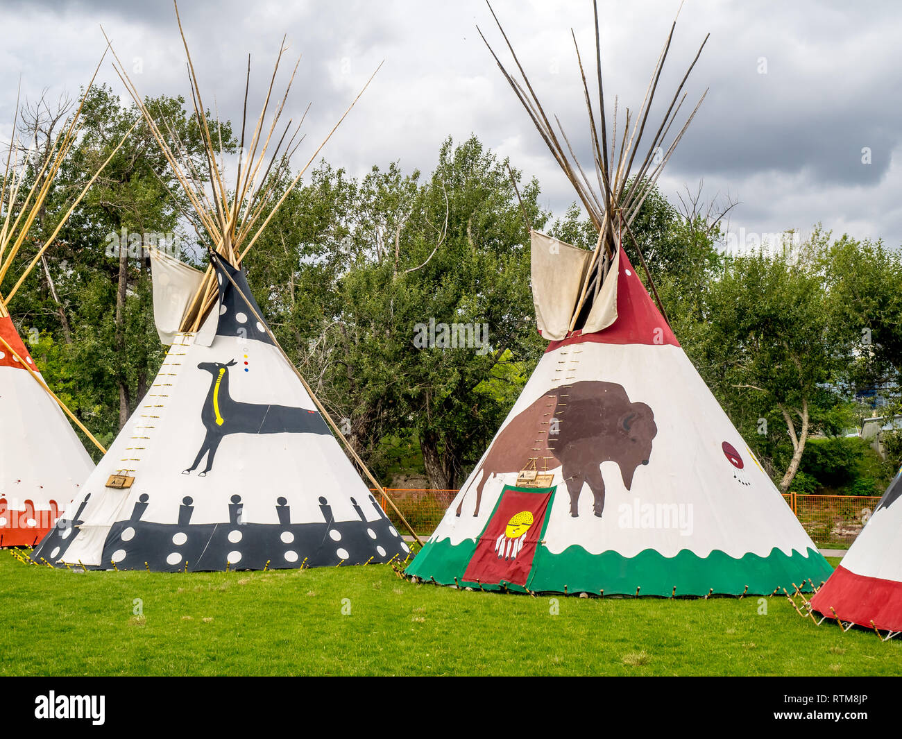 View of Tipis in the Indian Village at the Calgary Stampede in Calgary ...