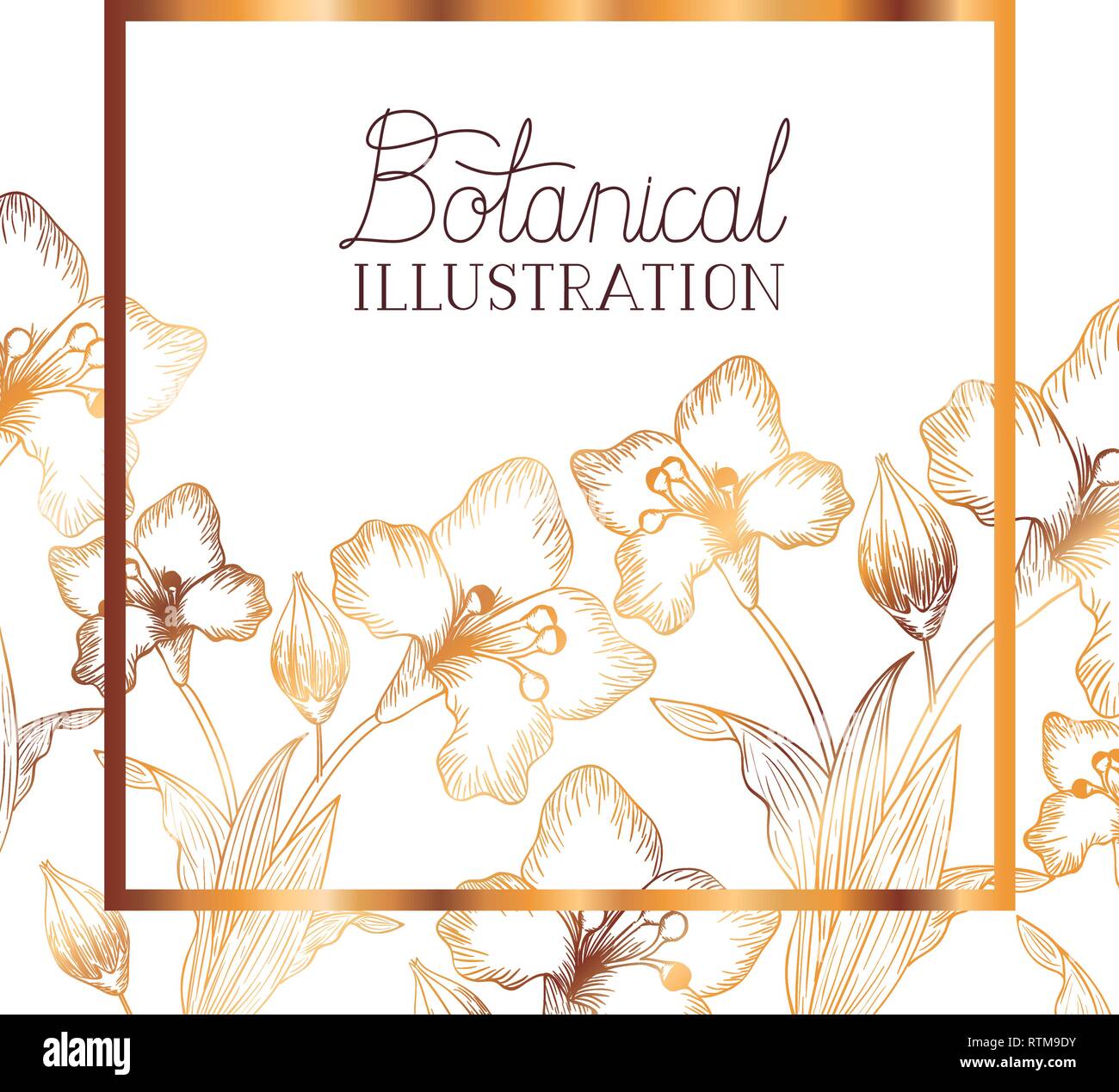 botanic illustration label with plants Stock Vector Image & Art - Alamy