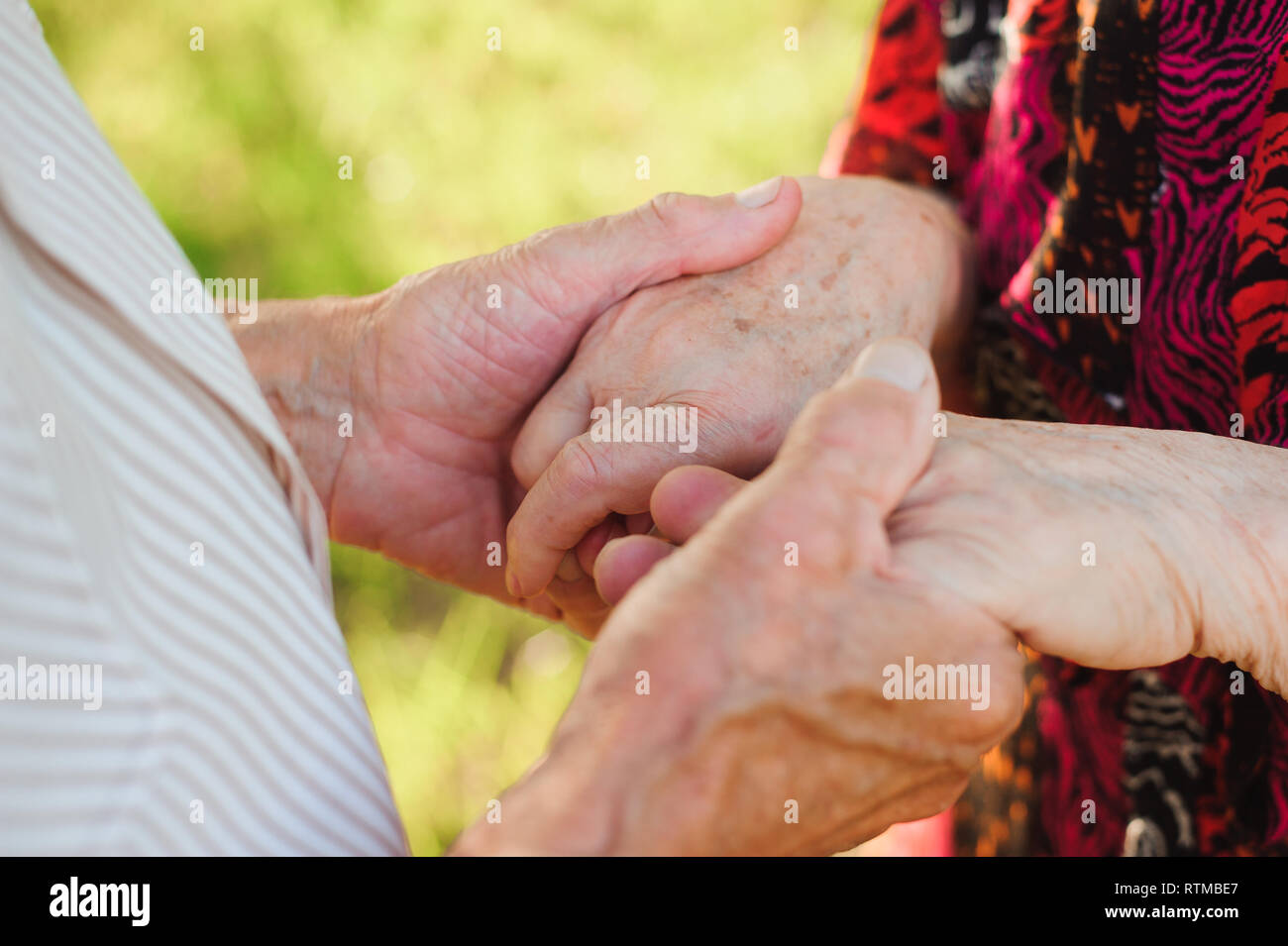 Elderly couple holding hands in summer park Stock Photo - Alamy